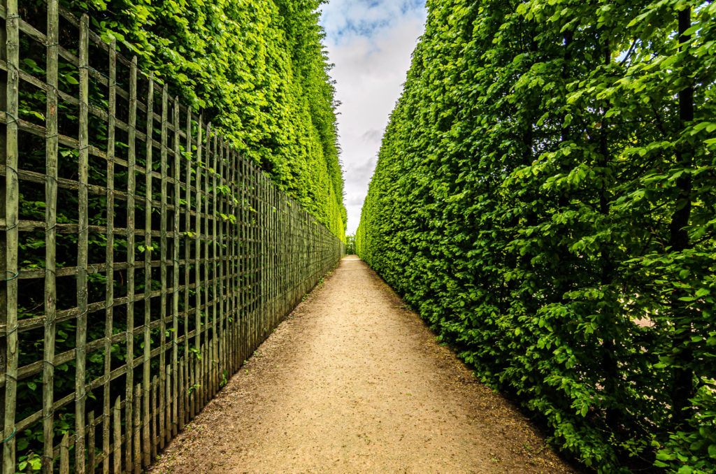 How Leading Lines can Improve your Photos - Alexios Ntounas Photography