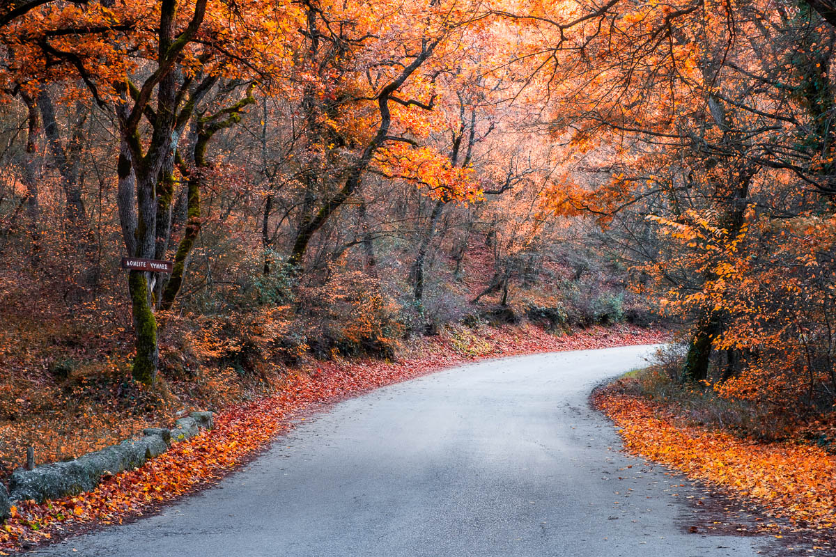 glowing light effect lightroom