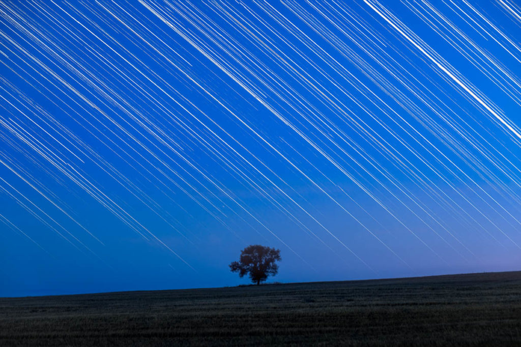 How to Photograph A Lone Tree - Alexios Ntounas Photography