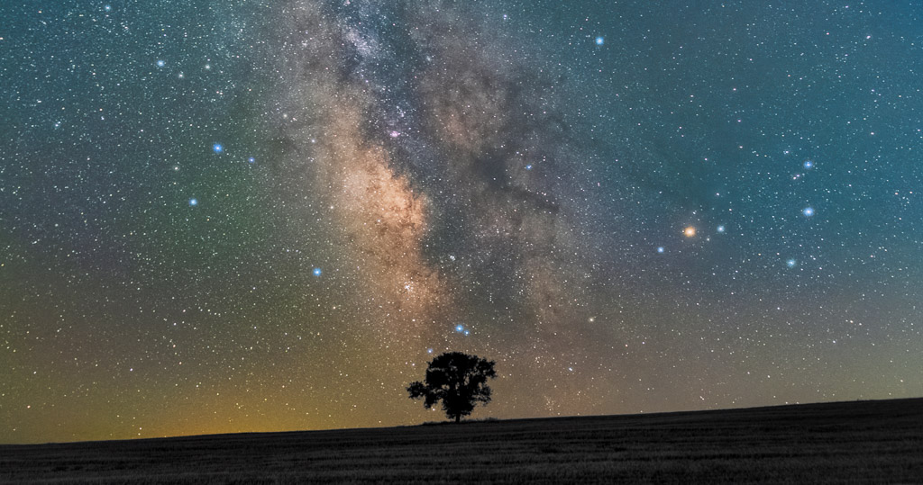 How to Photograph A Lone Tree - Alexios Ntounas Photography